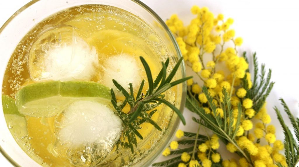 Fresh Mimosa Drink - BeOnMe